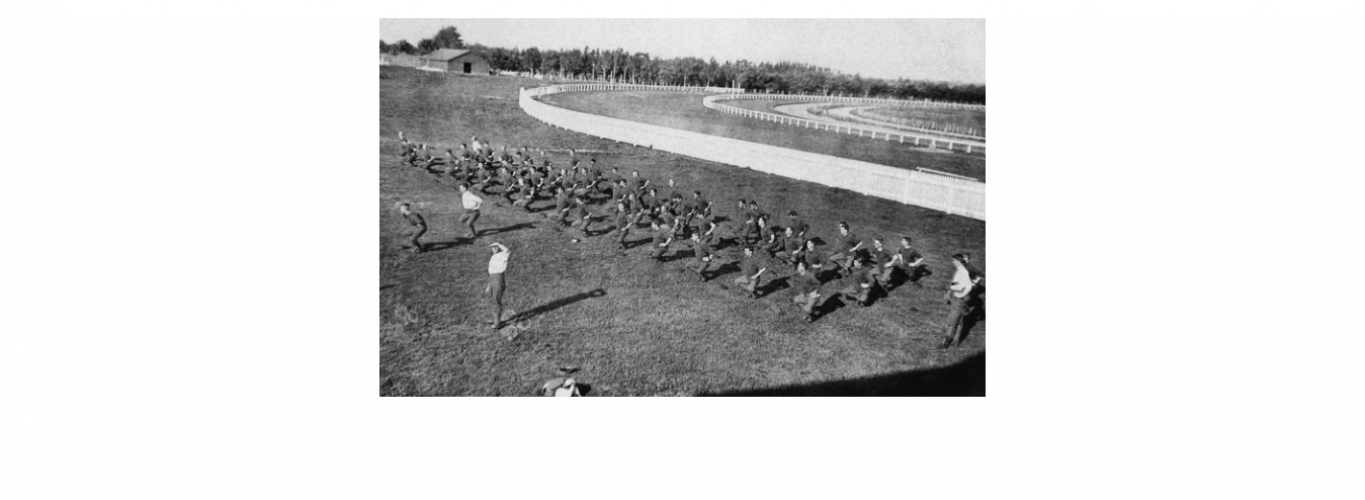 120 Medical Corps Memorial, Awapuni, Palmerston North » Poppy Places
